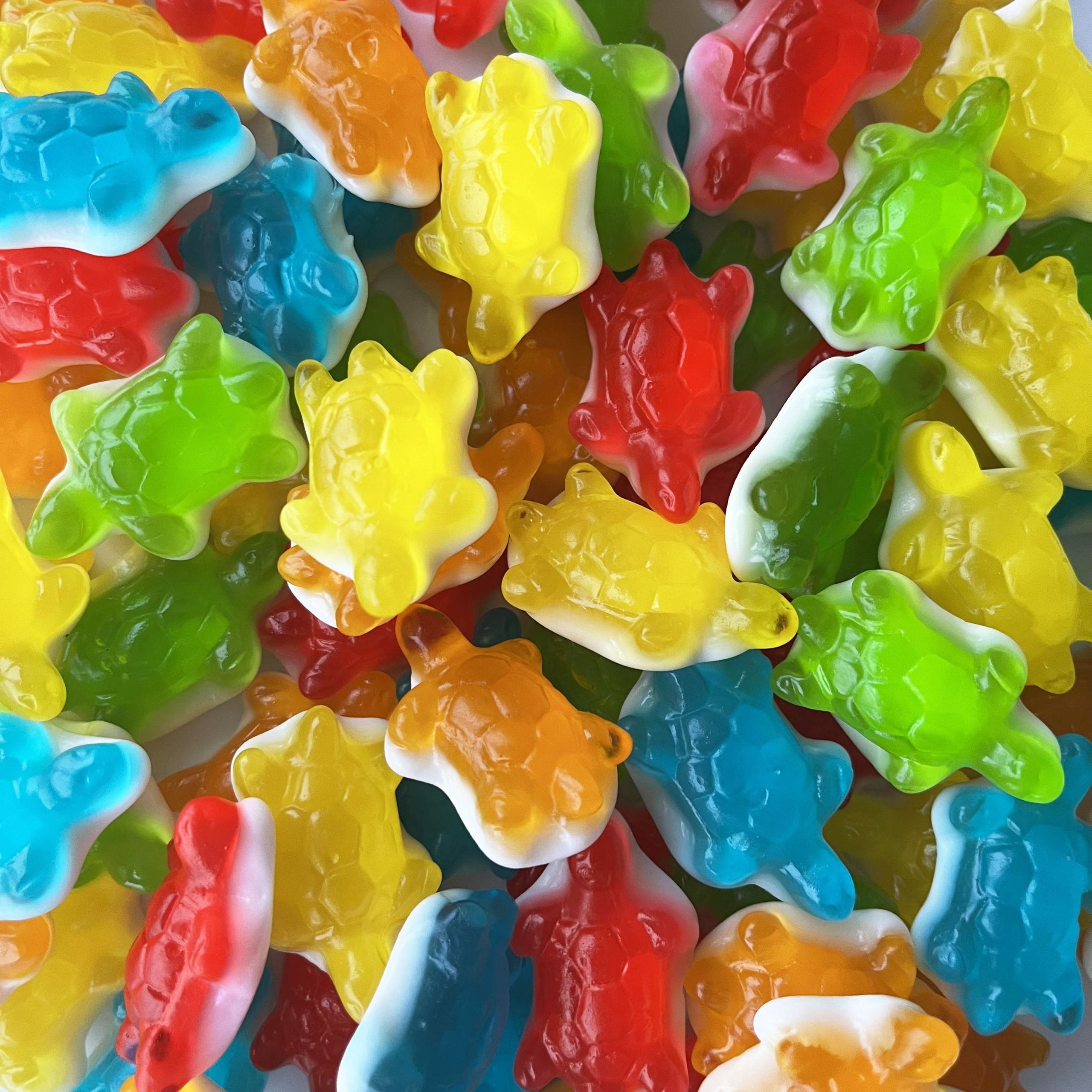 Tortue - Bonbon Mania