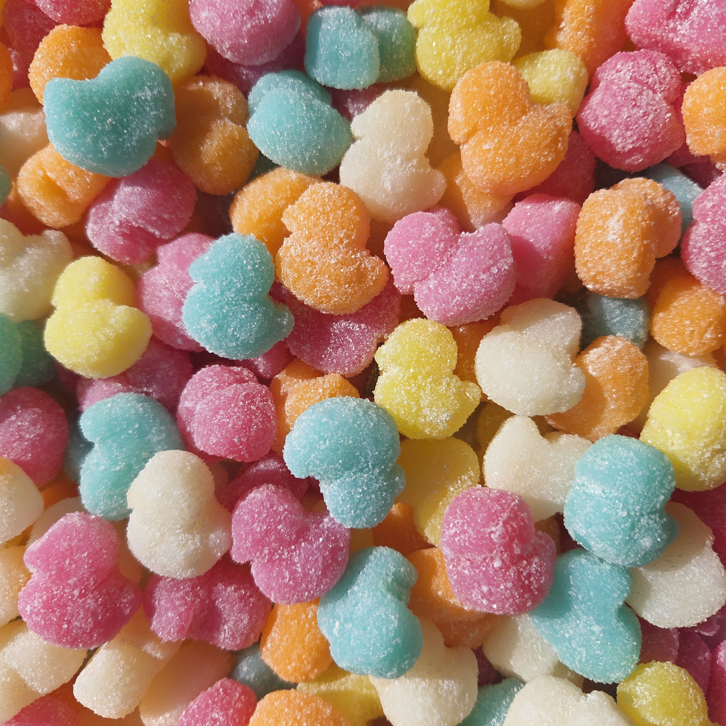 Poussin surette - Bonbon Mania